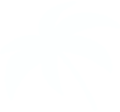 palm-left.png - Hringiðan Internetþjónusta